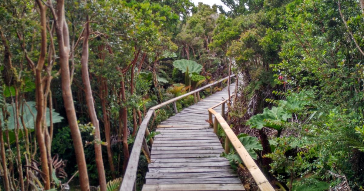 10 parques nacionales increíbles que debes visitar en Chile