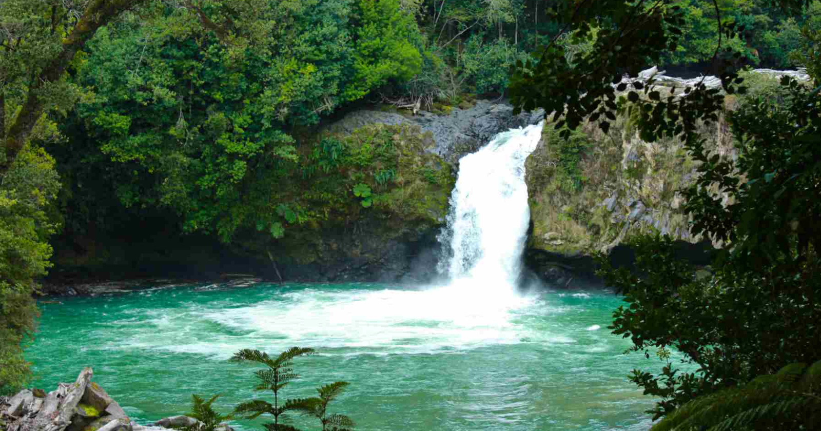 10 parques nacionales increíbles que debes visitar en Chile